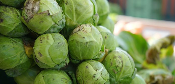 Top 10 Cruciferous Vegetables List that Saves | Cruciferous = Cross?