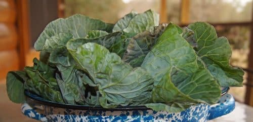 Top 10 Cruciferous Vegetables List that Saves | Cruciferous = Cross?