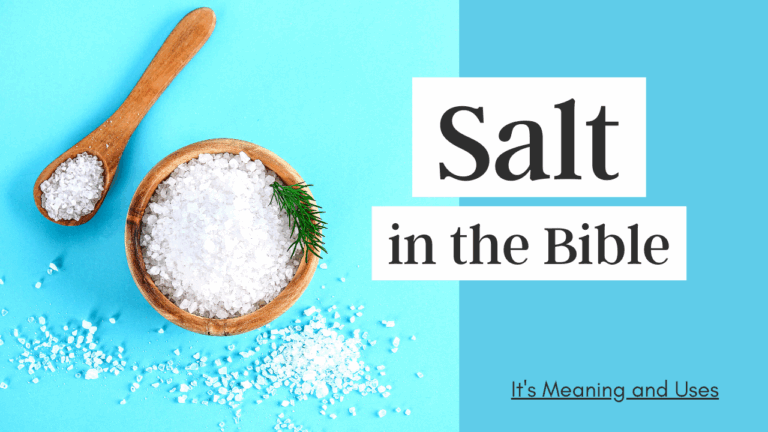 Salt in the Bible- 7 Important Salt Meanings and Biblical Symbolism