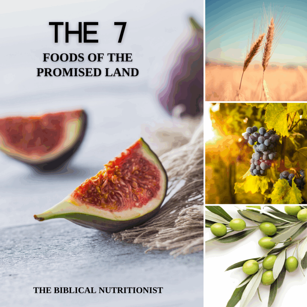 7 Foods of the Promised Land | The Biblical Nutritionist