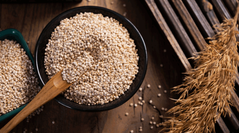 Best Places to Buy Non-GMO & Organic Grains in Bulk