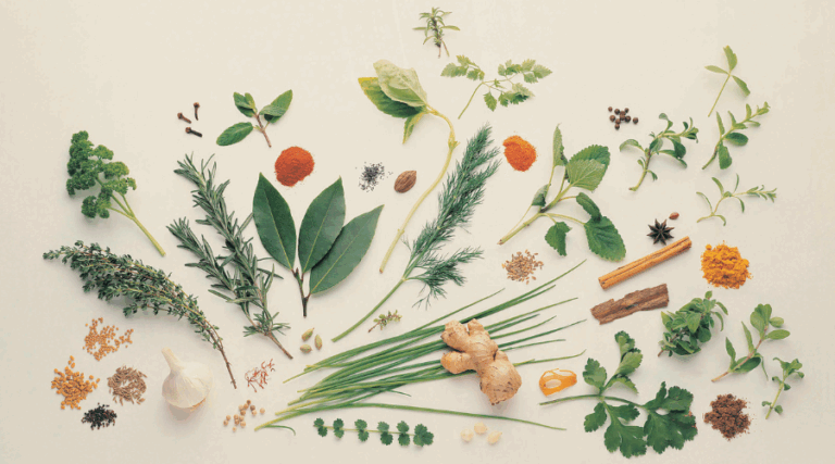 Do Spices Go Bad? Shelf Life of Spices and How to Keep Them Fresh